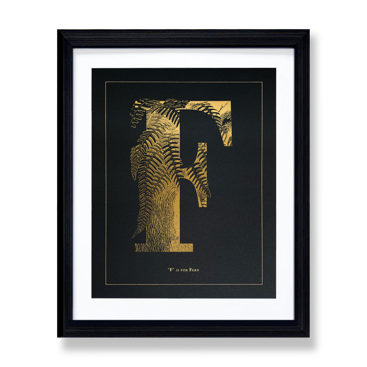 "F" is for Fern – And Studio